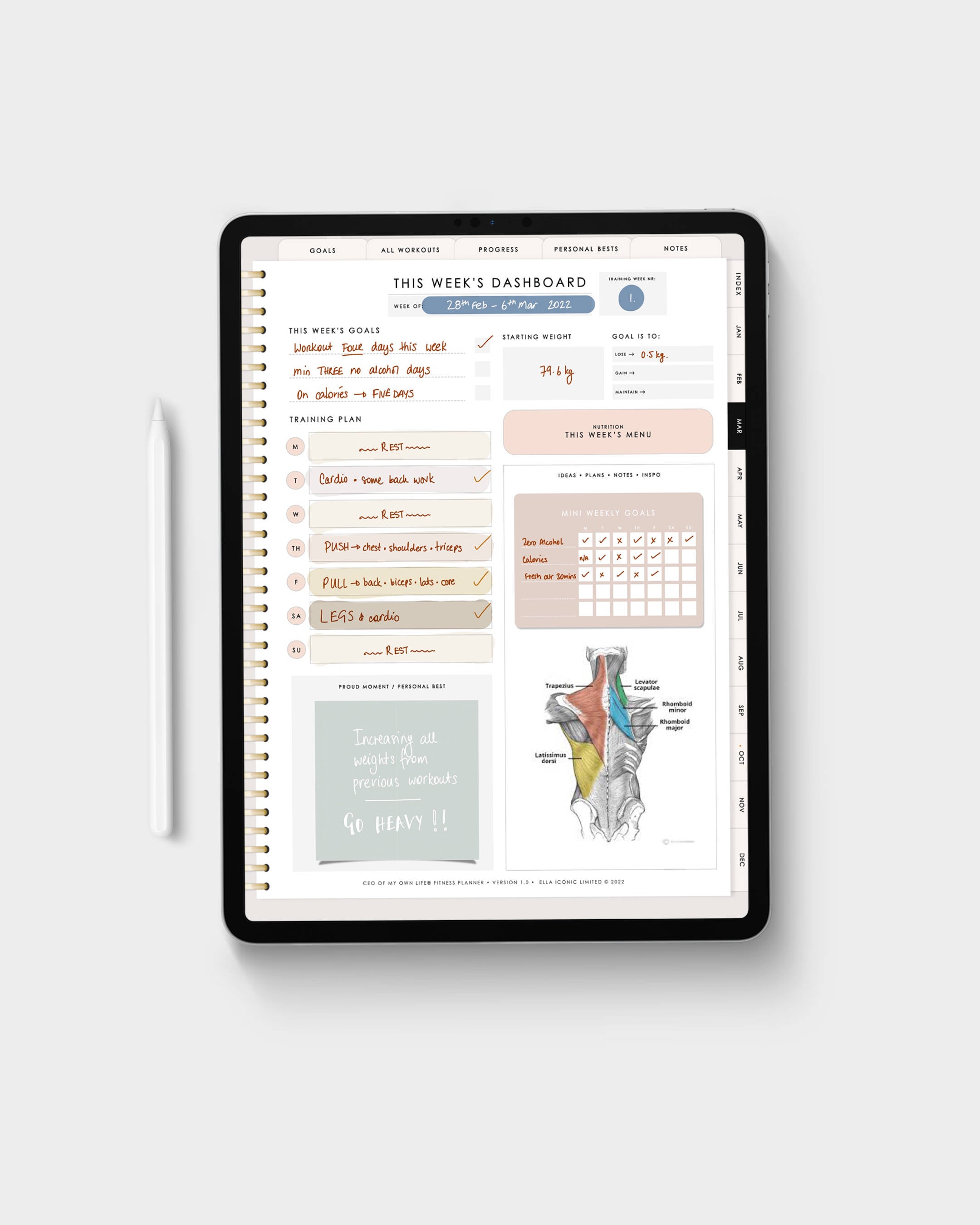 2025 Planner Guide | ella iconic® – ellaiconic®